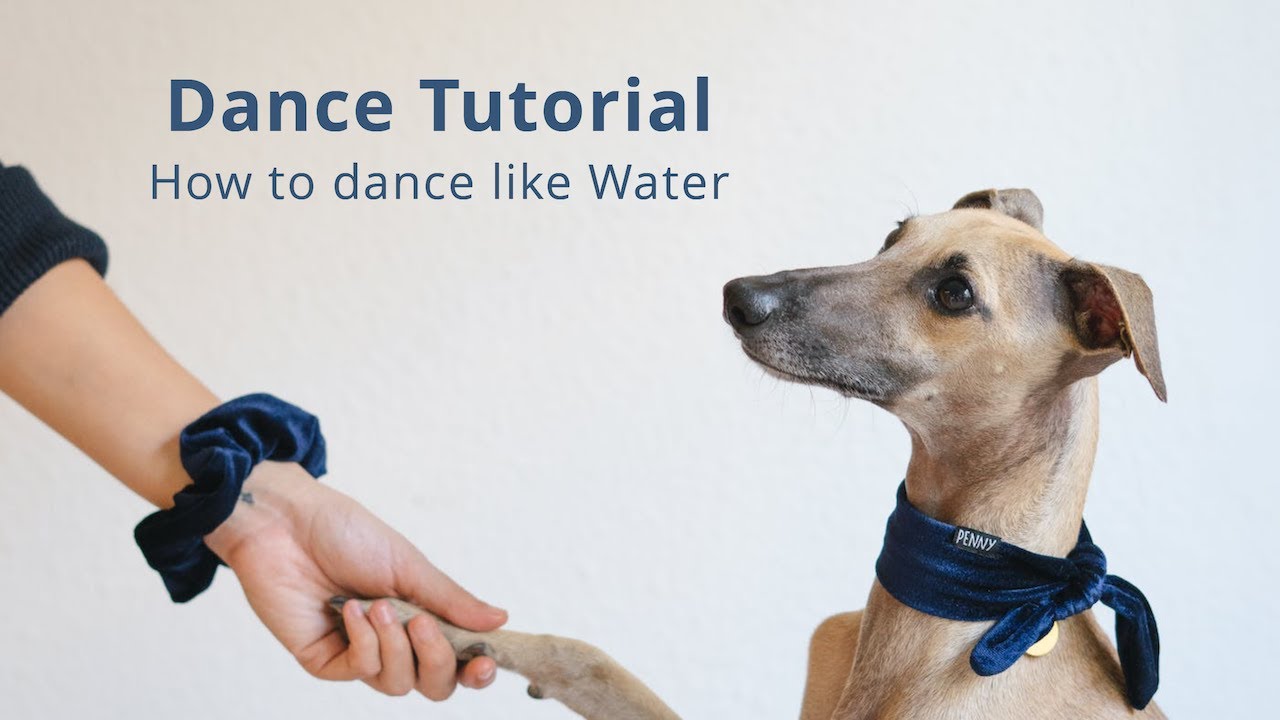 Dance Tutorial: dance like water - YouTube