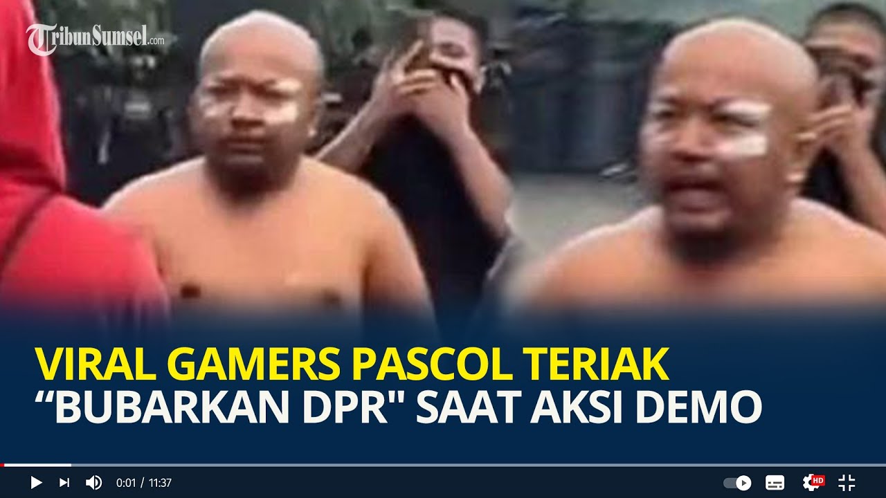 Sosok Streamer Gamers Pascol Yang Nekat Teriaki "Bubarkan DPR" Saat ...