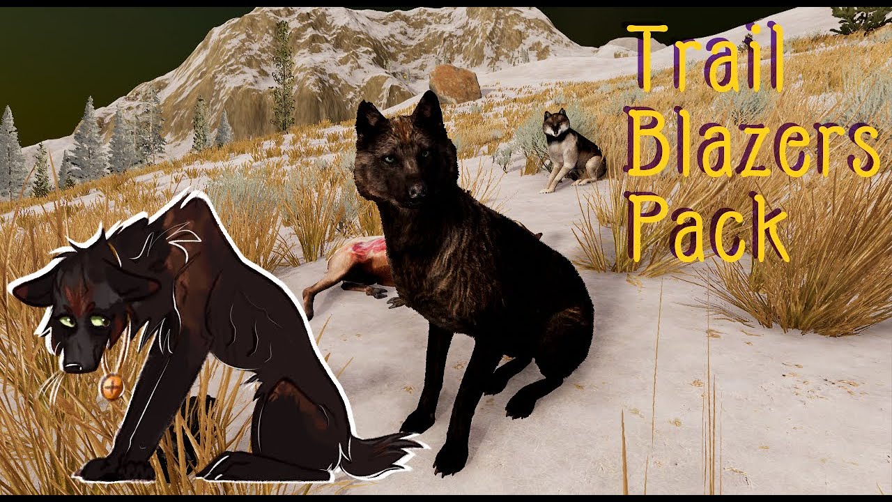 Two-Step Waterfall and Decisions at Sunset... 🪶 TRAIL BLAZERS EP#5 ...