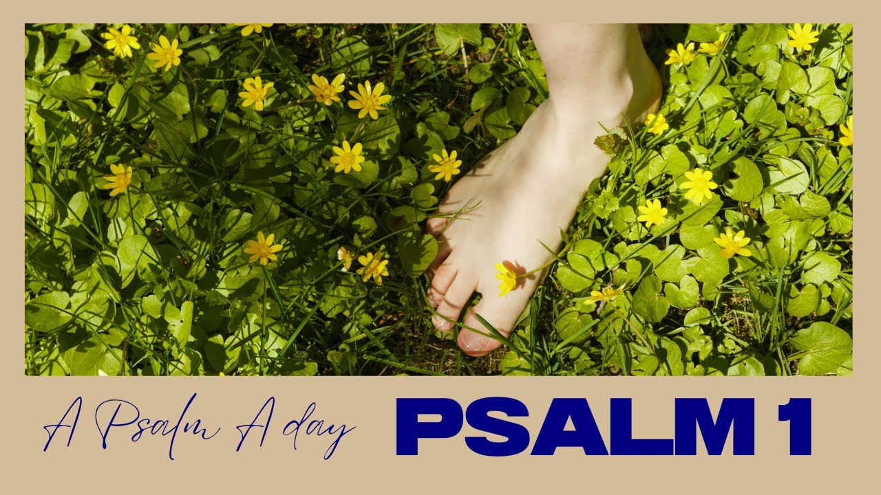 A Psalm A Day - Psalm 1 - YouTube