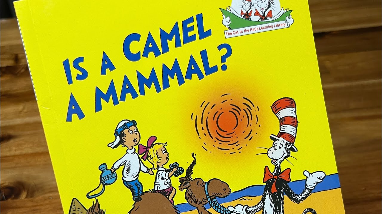 Is a Camel a Mammal? All About Mammals by Tish Rabe Read Aloud - YouTube