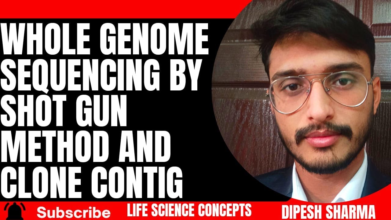 PART 4 Whole Genome Sequencing By Shot Gun Method And Clone Contig ...