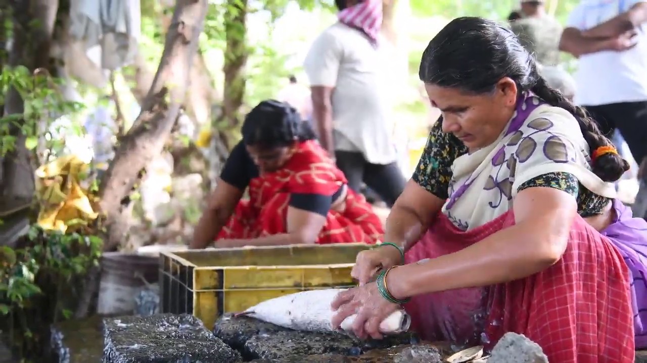 Amazing Live FISH Cutting Skills By Woman | Big Fresh FISH Cutting by ...