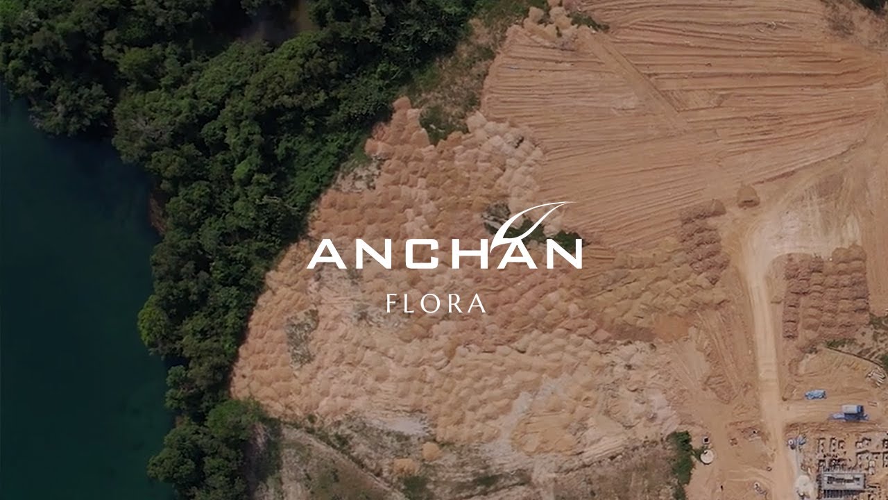 Anchan Flora: Project Progression as of January 2023 - YouTube
