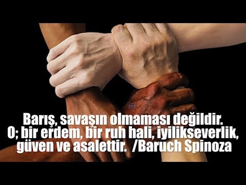 Barış ile İlgili En Etkileyici Özlü Sözler