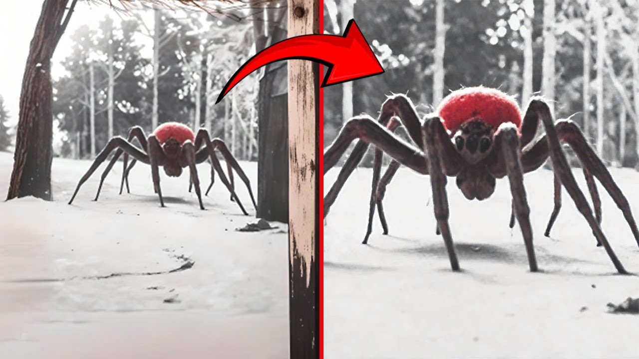 Strangest Cryptids Recently Discovered In Russia - YouTube