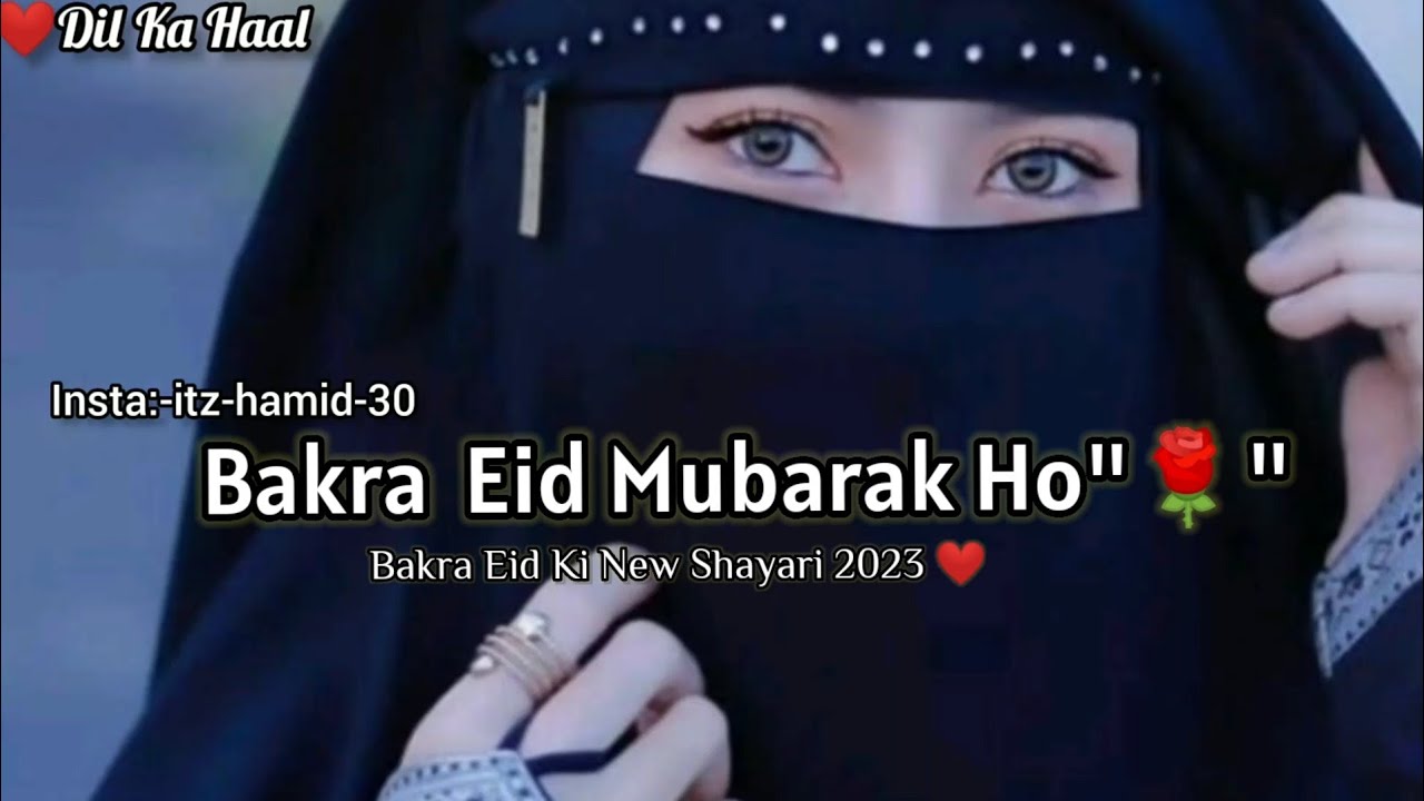 Bakra Eid Mubarak Ho🌹|Bakra Eid New Status 2023💝|Bakra Eid Mubarak ...