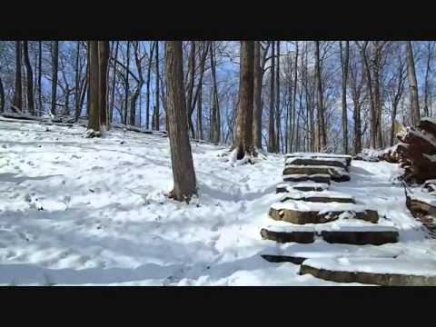 Trail Running at Big Run Park, Columbus, Ohio - YouTube