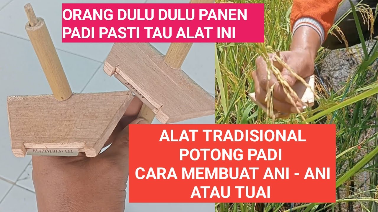 Orang tua tua jaman dahulu pasti tau alat potong padi ini. cara membuat ...