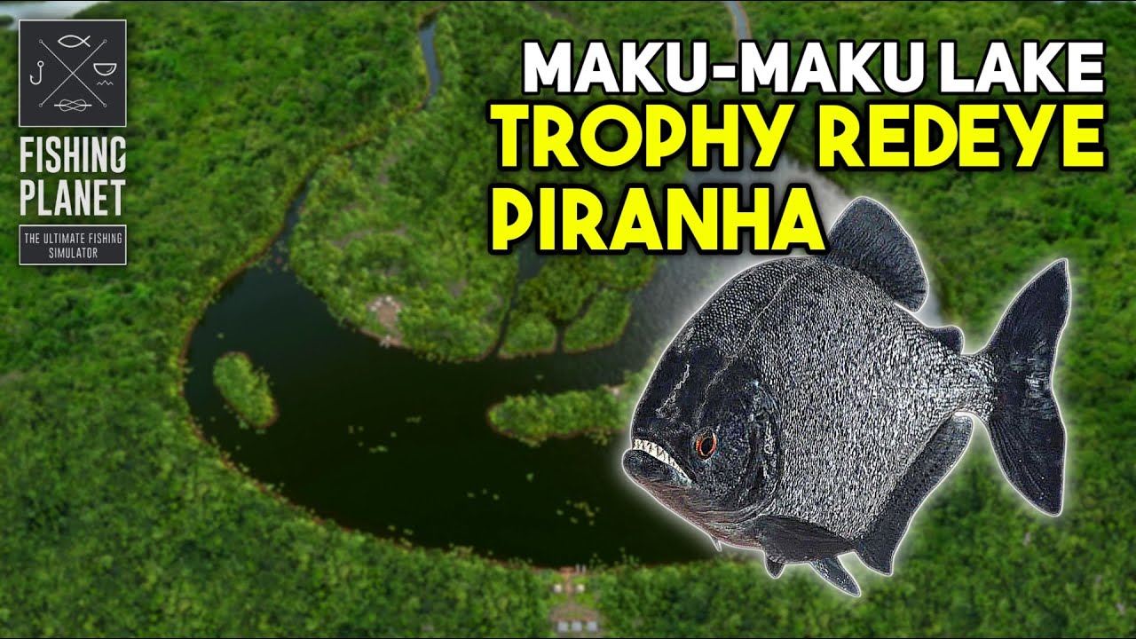 Trophy Redeye Piranha Maku-Maku Lake - Fishing Planet - YouTube