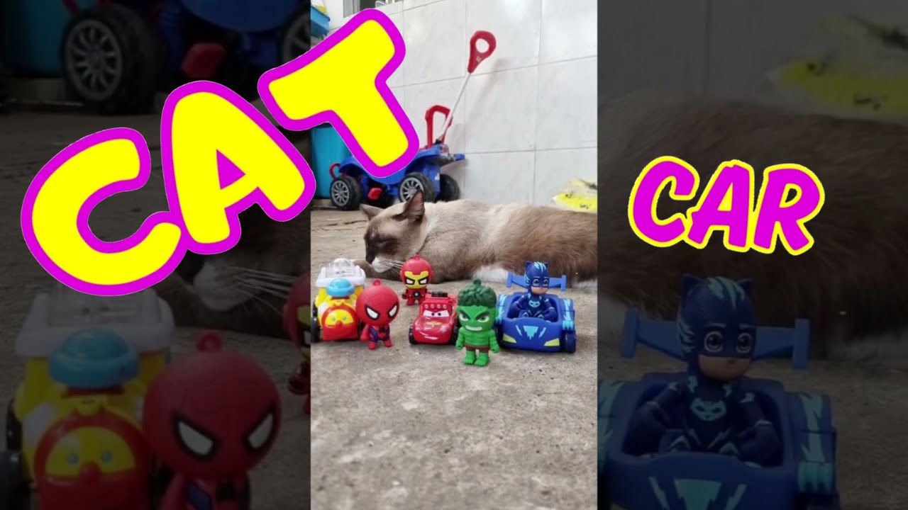 Funny Cats vs Cars & Spider-Man - YouTube