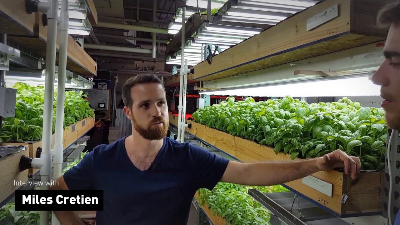 The 12 steps of Verticulture 2016 - teaser - YouTube