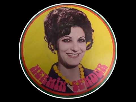 Nermin Şendur - Aklımı Başımdan Aldın