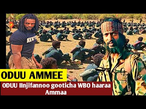 ODUU INJIFANNOO Gooticha WBO haaraa ijoo amma nu dhaqqabde @Ifaalammii ...