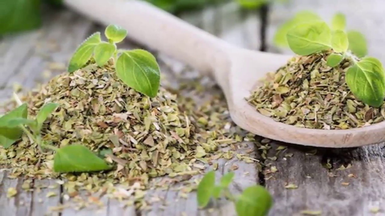 This Powerful Herb Can Cleanse Your Lungs Of Dust Mold Bacteria And ...