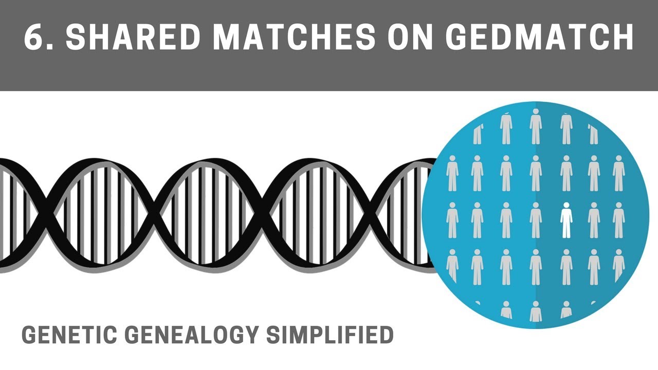 Viewing Shared Matches on GEDmatch - YouTube