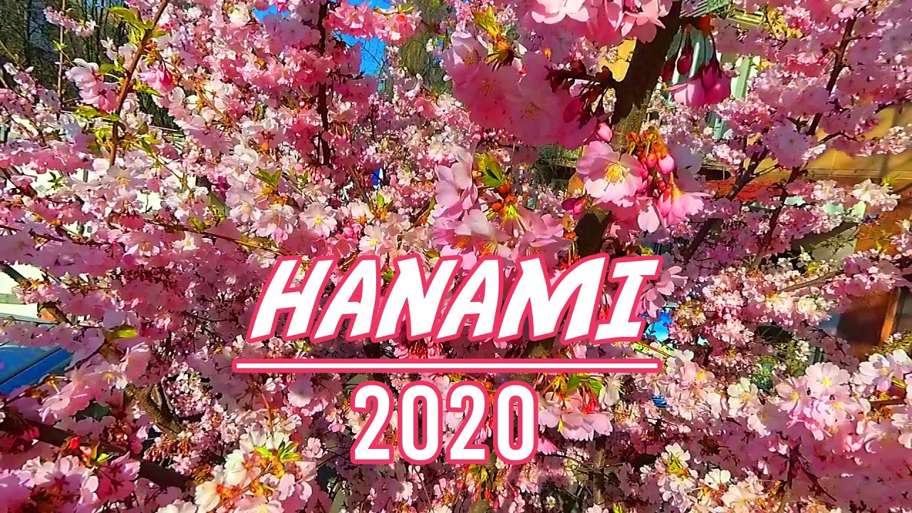 HANAMI 2020 - YouTube