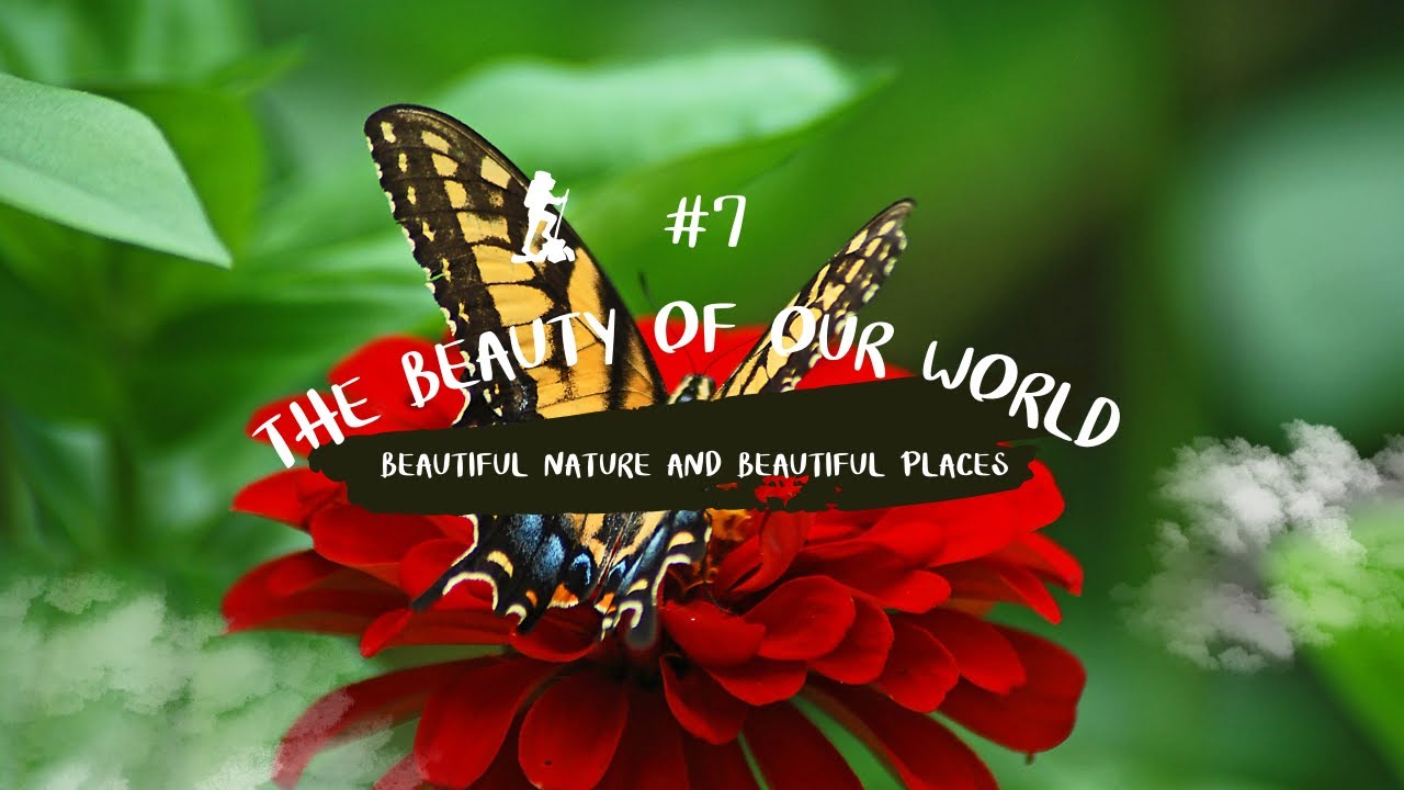 The beauty of our world - beautiful nature and beautiful places #7 ...