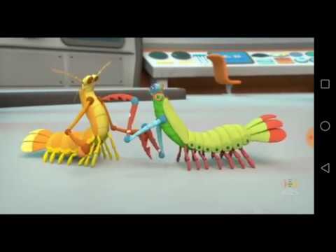 Octonauts and the mantis shrimp - YouTube