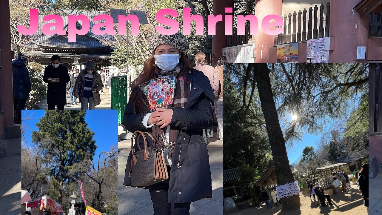 Japan Shrine Visit 2023 at Shimotsuma Daiho Jinja(@judaimixvlog6066 )# ...