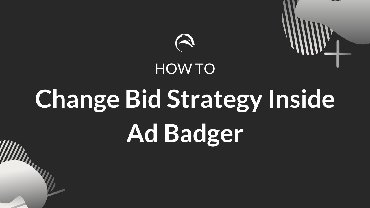 How to Change Bid Strategy Inside Ad Badger - YouTube