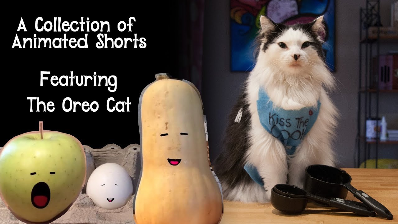 The Oreo Cat: Animated Shorts Compilation (1) - YouTube