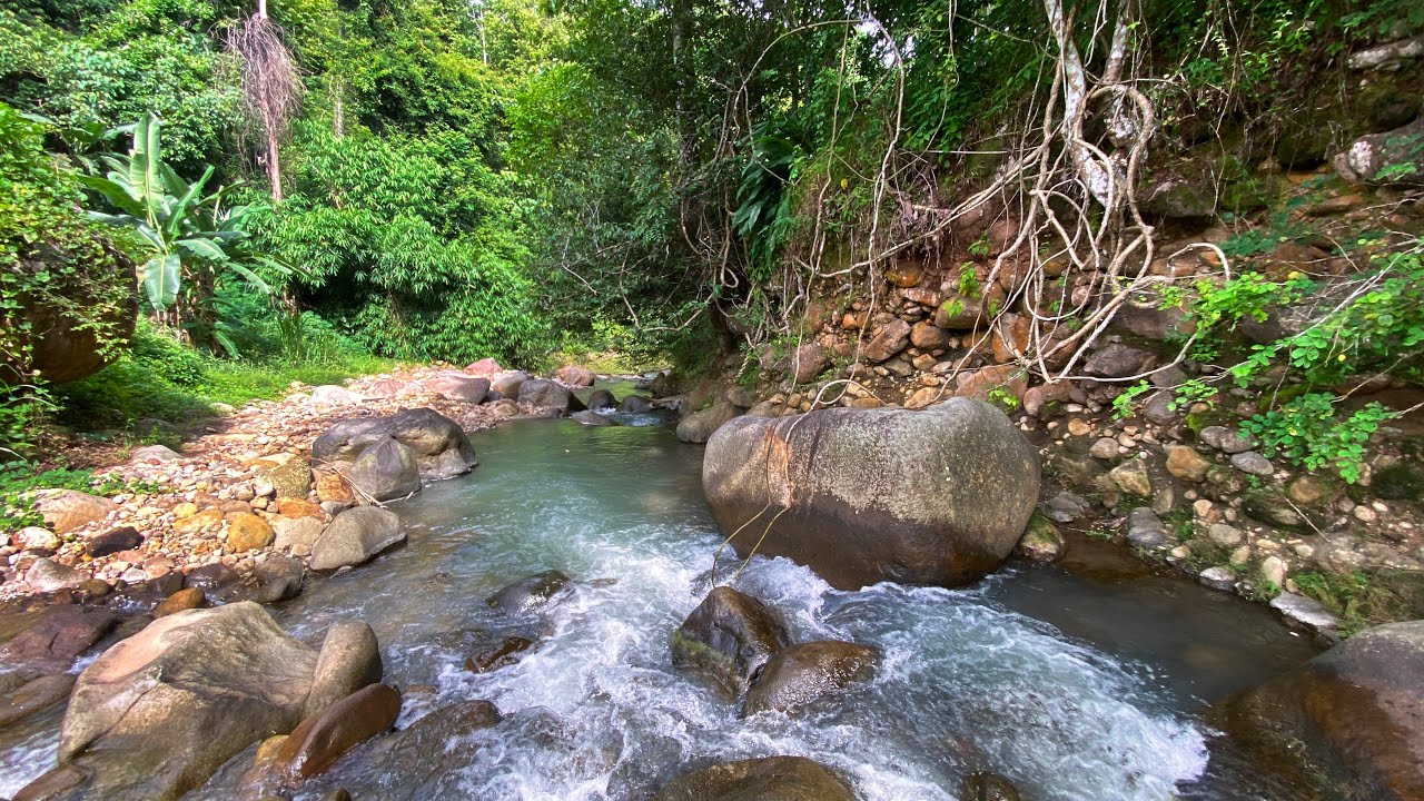 Fall Asleep Immediately with Rushing River Sounds with Boulder Stream ...