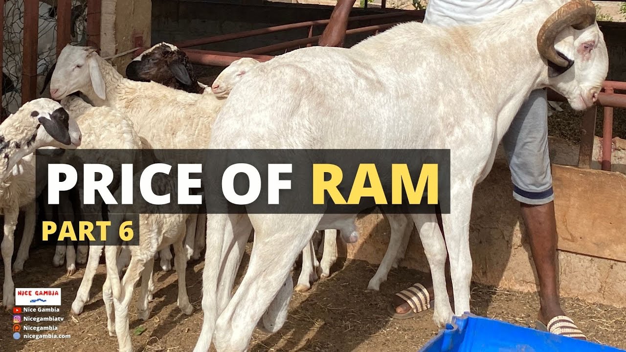 Price of RAM in Africa The Gambia 2023 EID Part 6 - YouTube