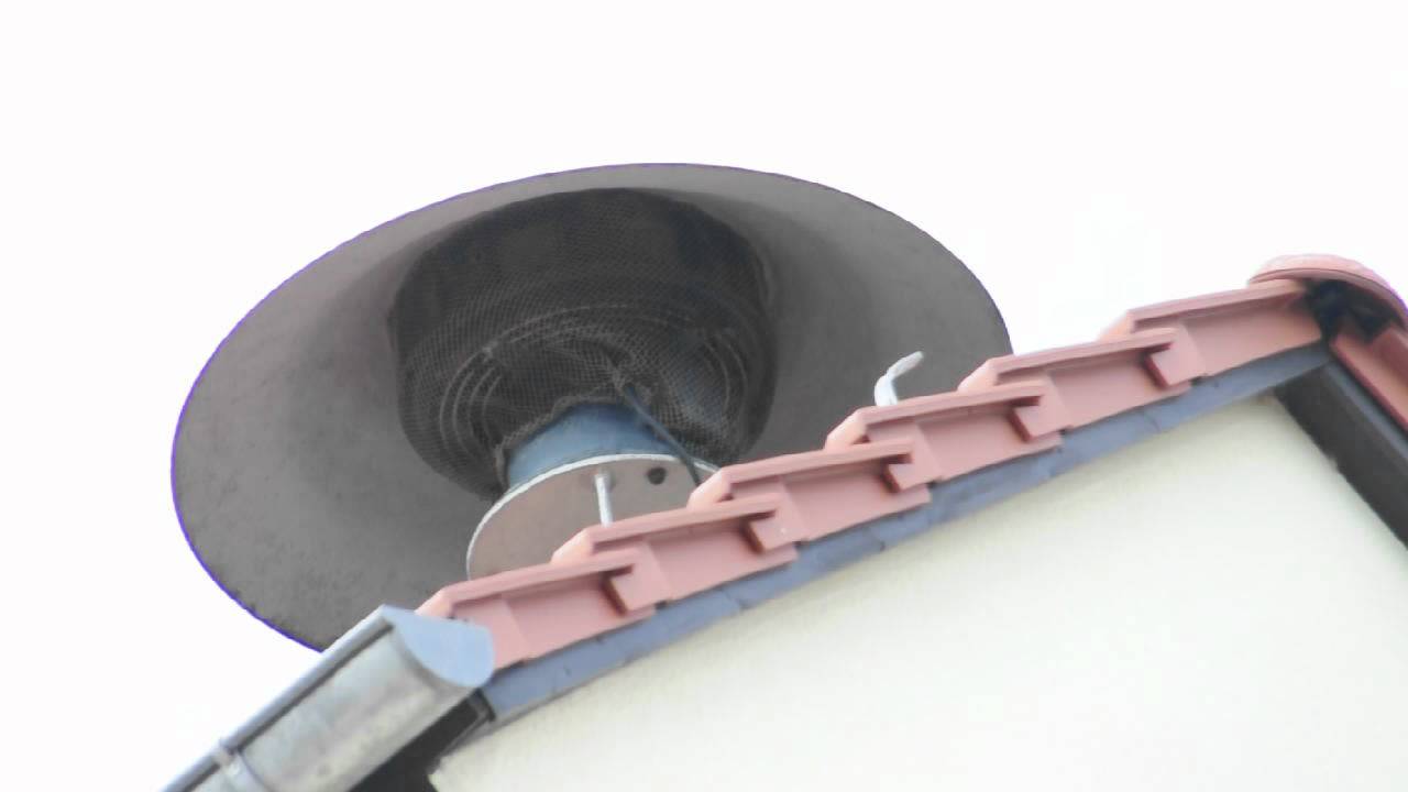 Sirenenprobe Bad Schandau Ortsteil Waltersdorf DS977 - YouTube