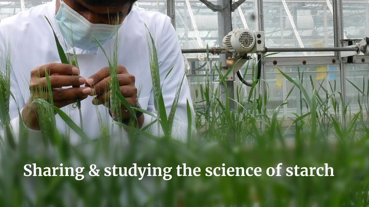 Sharing & studying the science of starch - YouTube