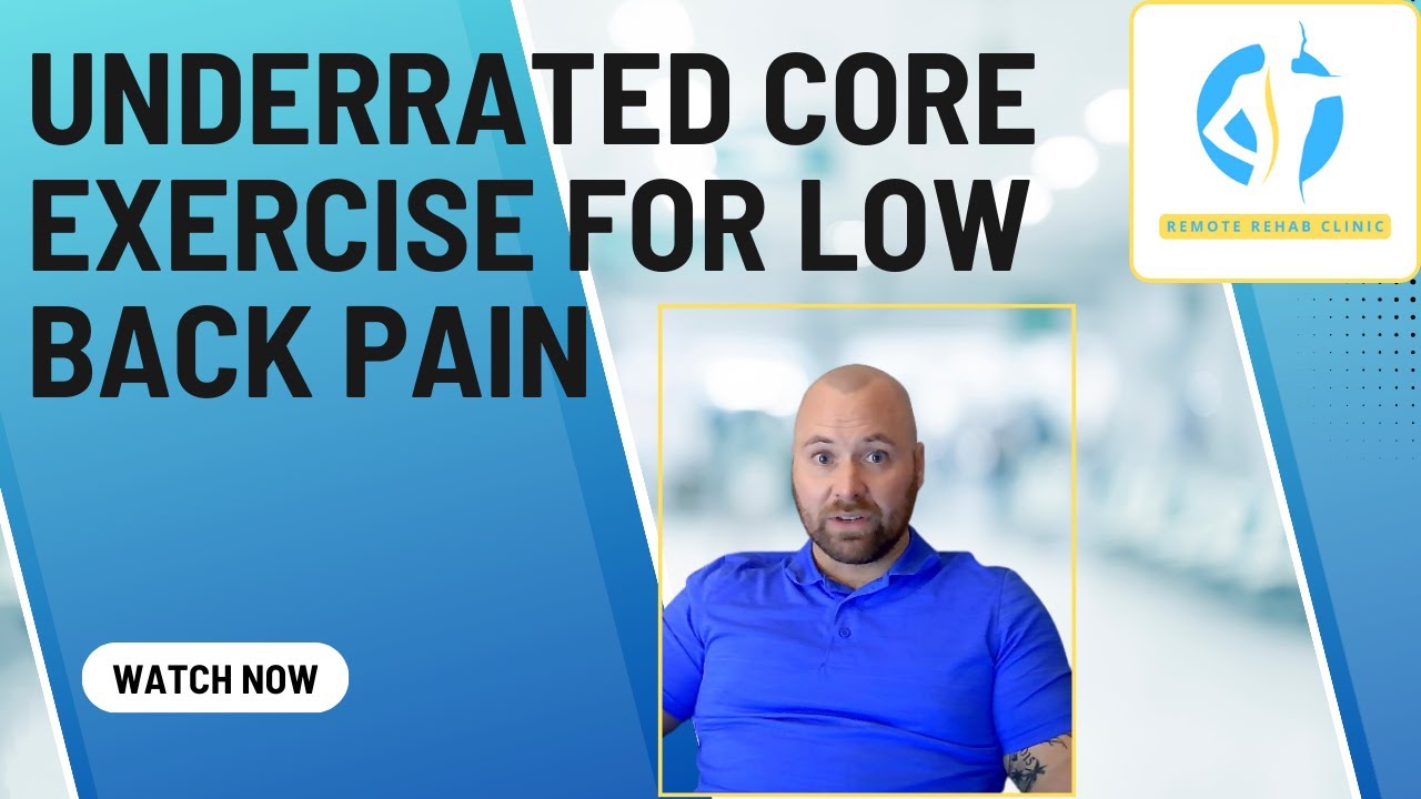 Underrated Core Exercise for Low Back Pain - YouTube