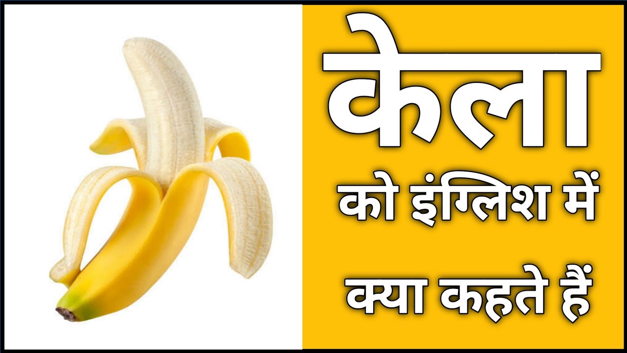 Kela in English | kele ko english me kya kahte hain - YouTube