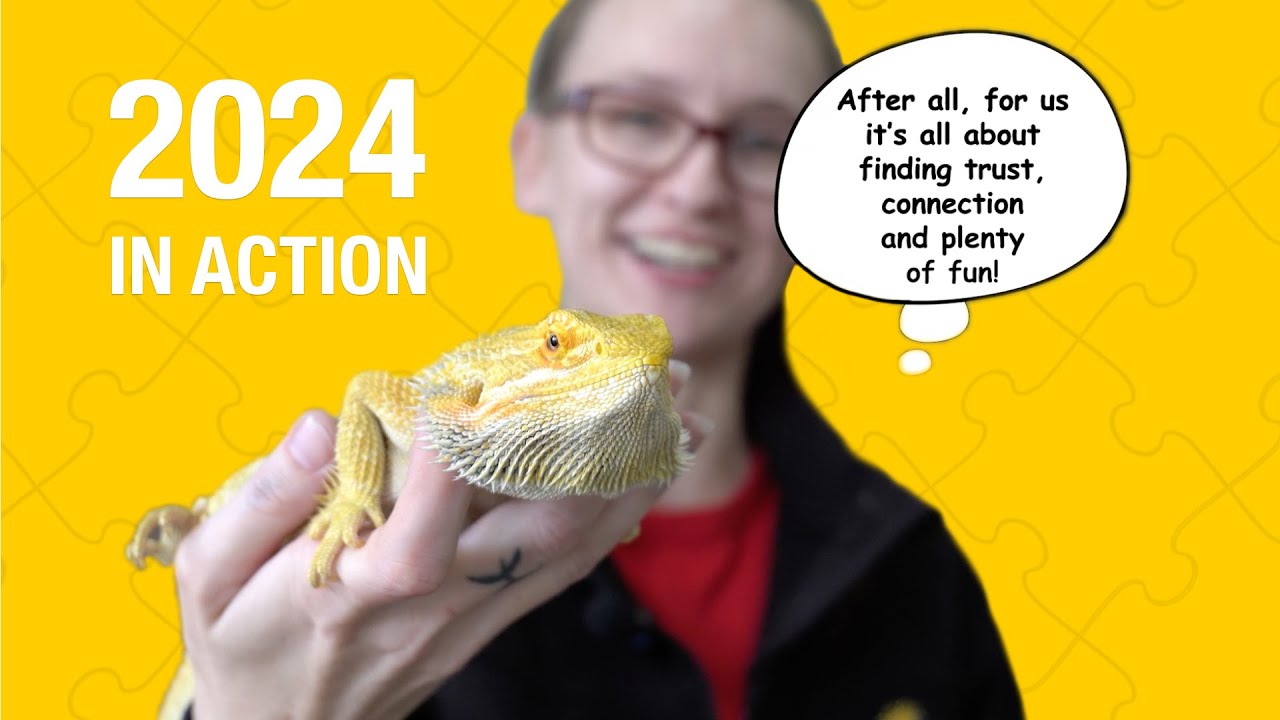 Story House Early Learning - 2024 Wrap Up - YouTube