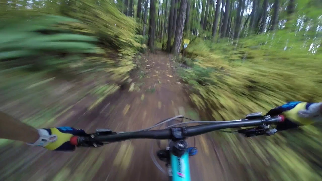 drip torch trail at LL Stub Stewart State Park in Oregon - YouTube