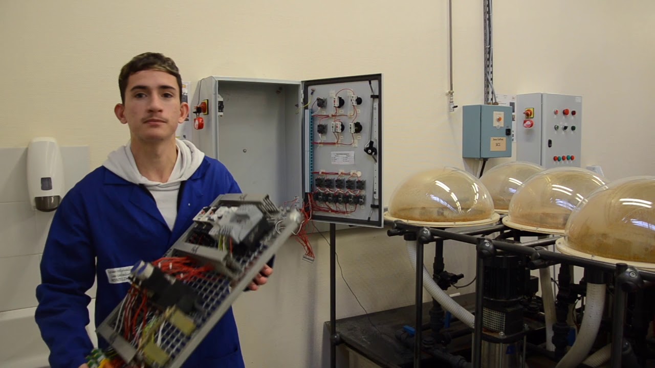 présentation section MELEC - YouTube