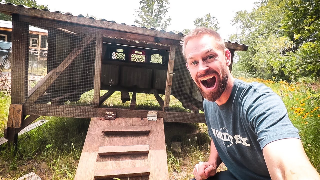 they gave us a FREE mobile chicken coop (CHICKSHAW) - YouTube