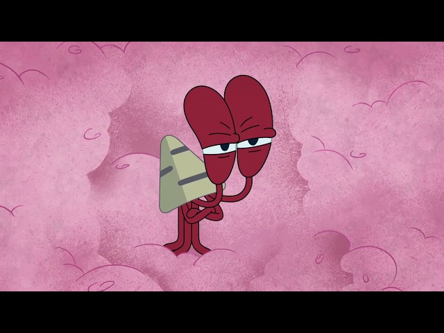 Zig Sharko Sick Health Compilation 2019 Cartoons
