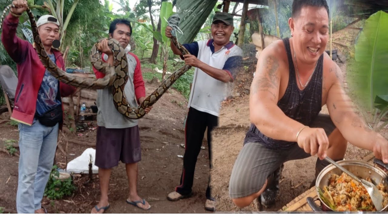 ULAR SANCA ULAR PITON PELIHARAAN KITA RICA RICA LAGI | Extreme Food # ...