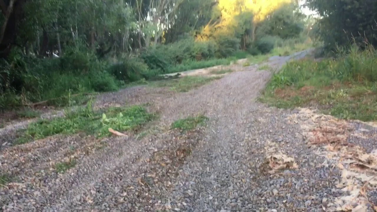 Selwyn river dried up in 2017 - YouTube