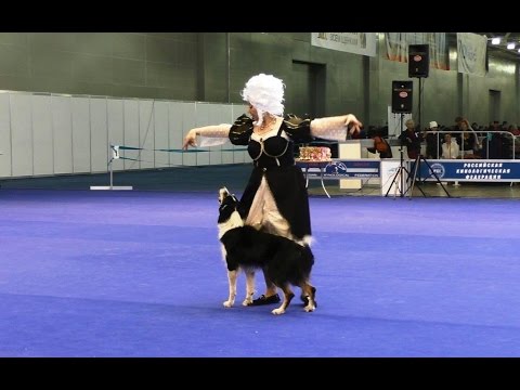 Танцы с собаками "Россия - 2015". Dog Dancing. Canine Freestyle. - YouTube