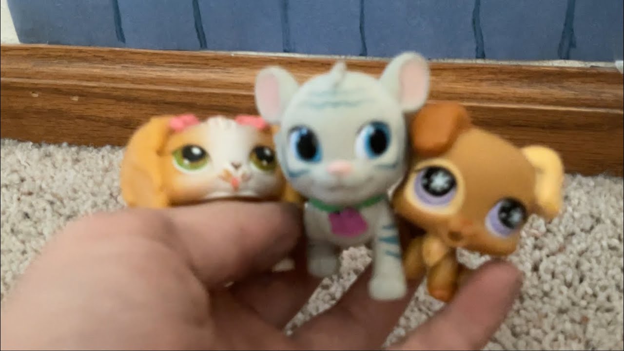 LPs school rp full credit to Laney! - YouTube