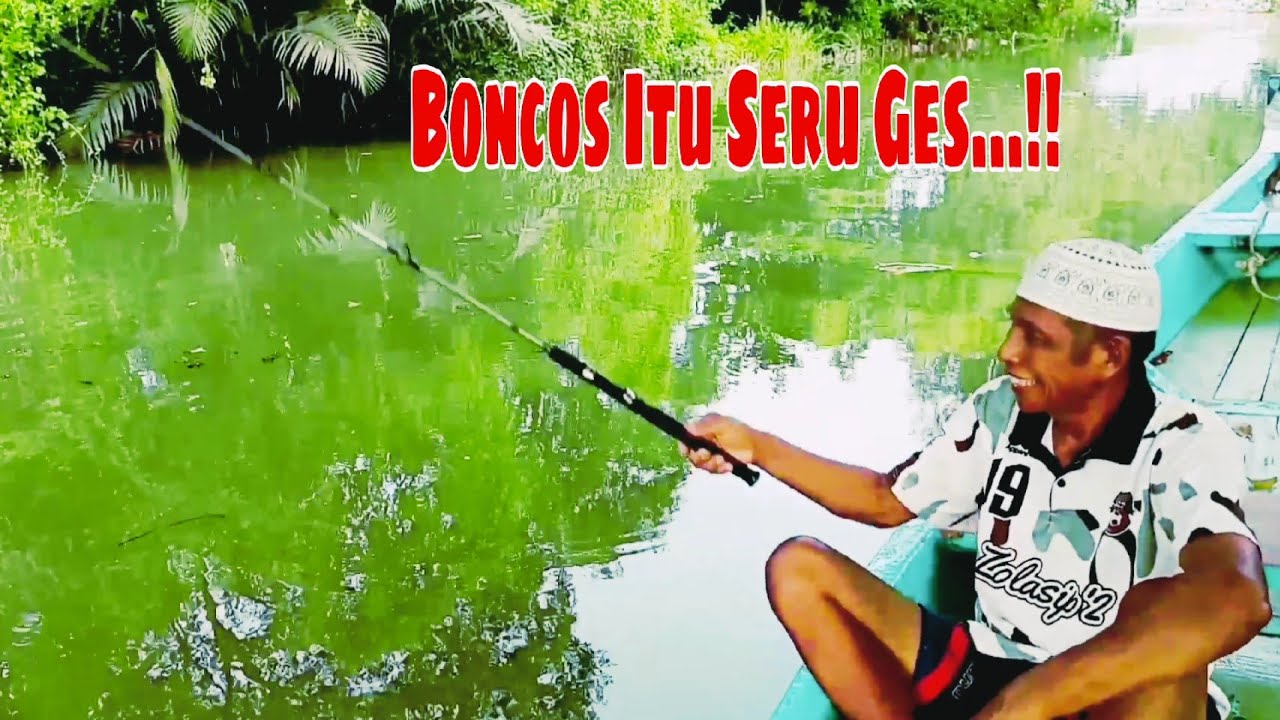 Mancing Paling Seru Ketika Boncos Mancing ikan Manyung #mancing # ...