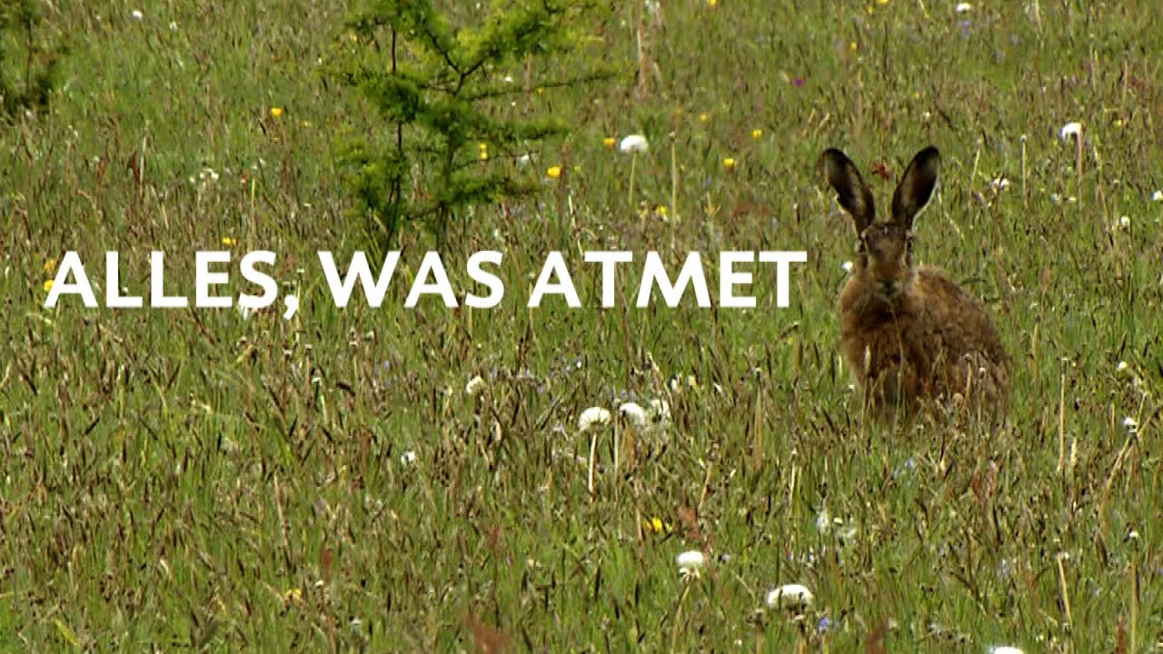 Alles, was atmet - YouTube