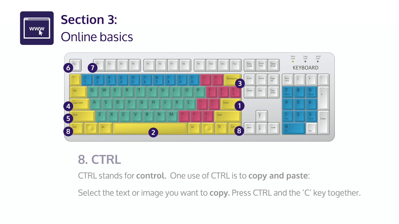 Section 3 - Online basics (part 1) - YouTube