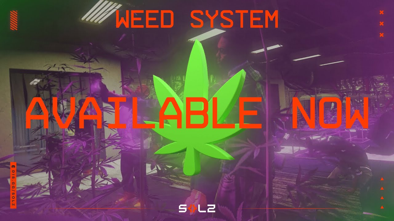 [QB-Core] Realistic Weed & Gang Wars v1.2 — Available Now | Solz Team ☘ ...