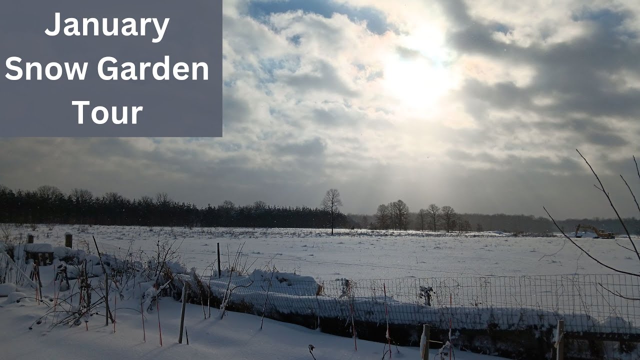 January Snow Garden Tour 2024 - YouTube