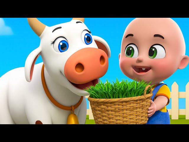 Baby bobo Feed The Animals | Lola The Cow Song | Old Macdonlad ...