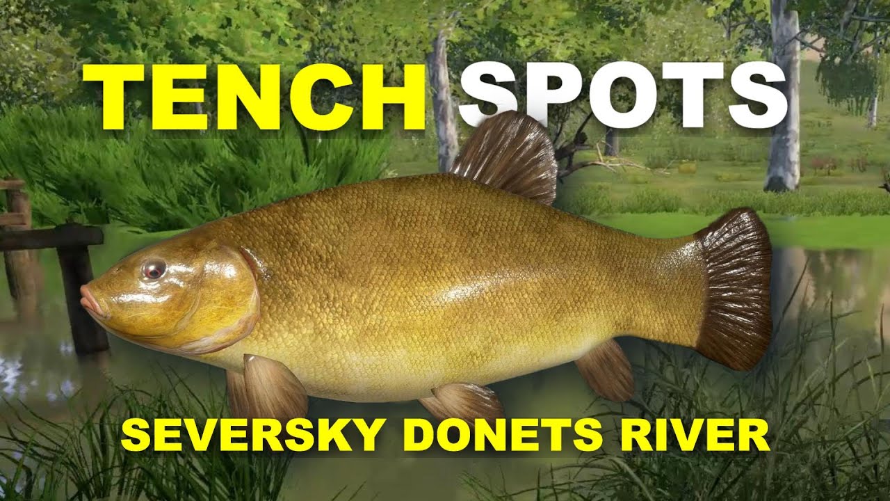 Russian Fishing 4 TENCH SPOTS Seversky Donets River - YouTube