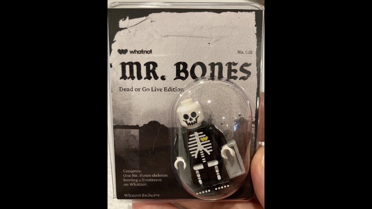 WhatNot Lego Mr Bones Special Opportunity!! - YouTube